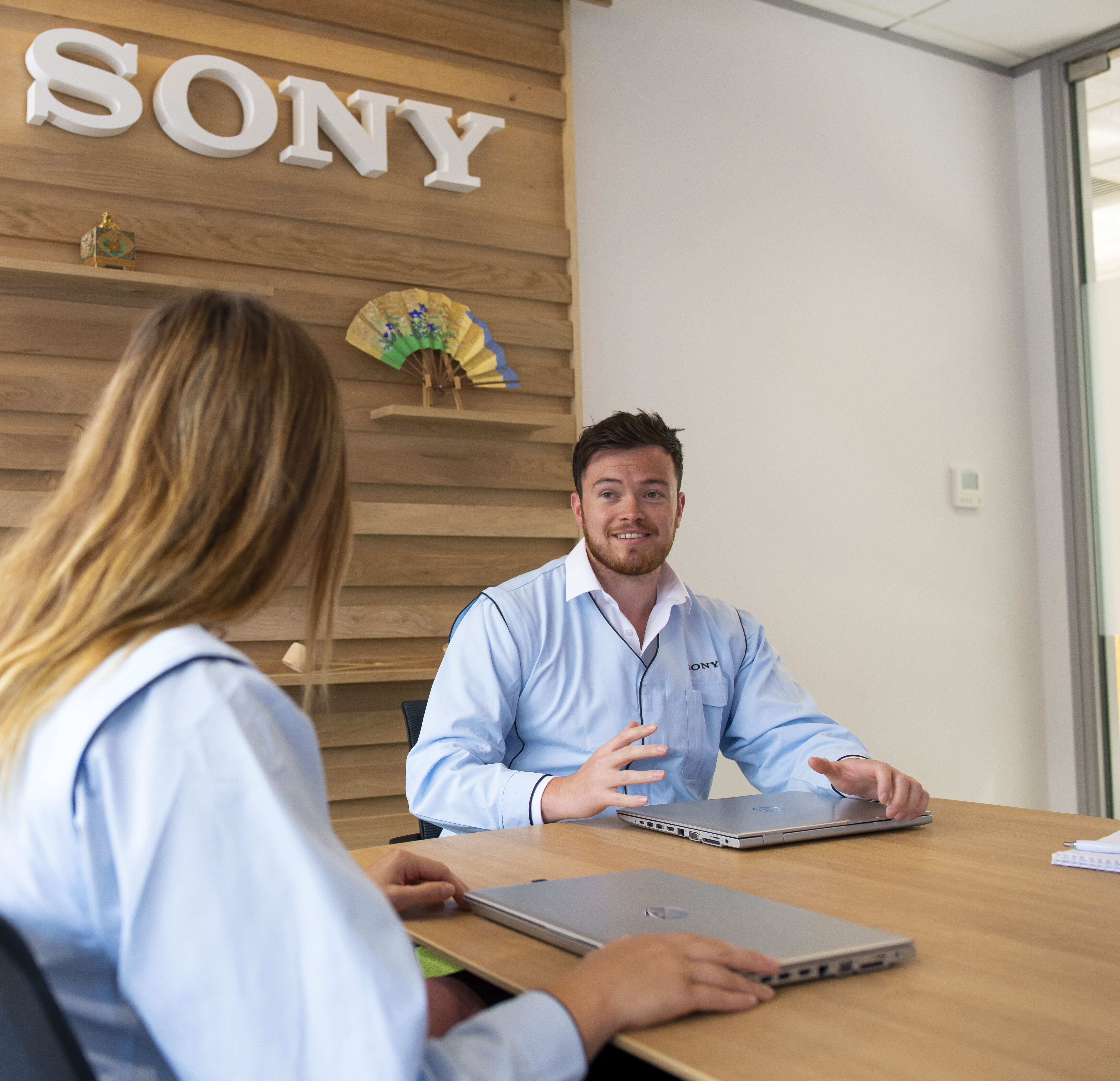Careers - Sony Pencoed
